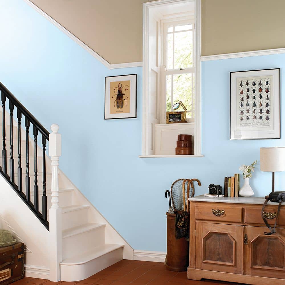 What is Emulsion Paint | Its Constituents | Application | Advantages ...