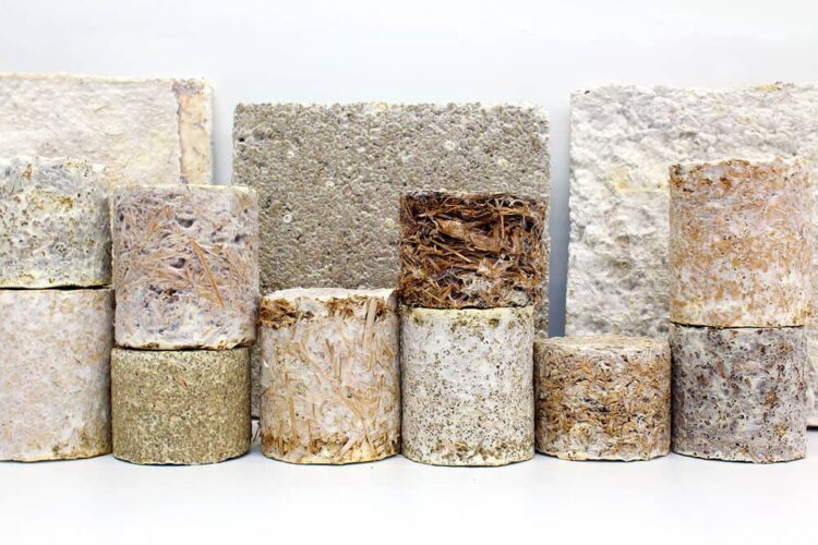 20 Sustainable Innovative Eco-Friendly Building Materials